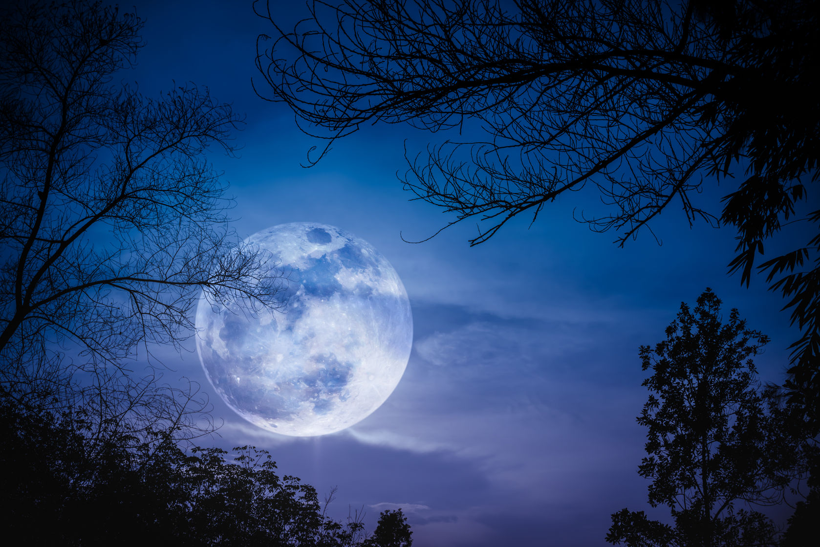 ¡Arriba en el cielo! Colombia vivirá dos superlunas en enero - Canal 1