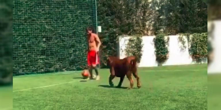 El vídeo de Lionel Messi y su perro que causa furor en redes sociales ...