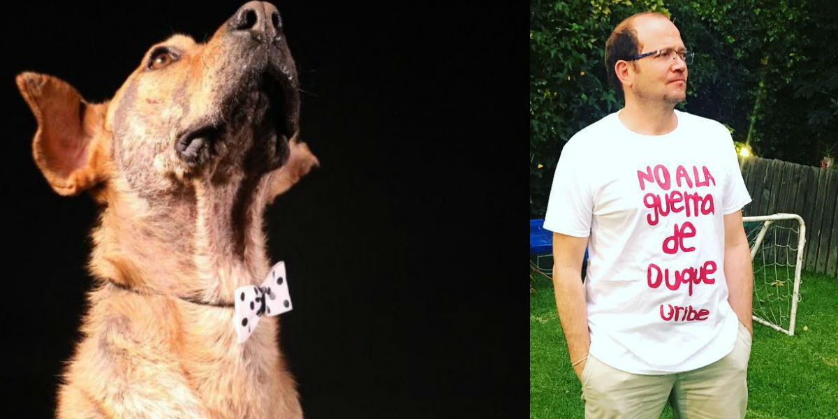 Daniel Samper le brindará un nuevo hogar a Serafín, el perro calvo que ...